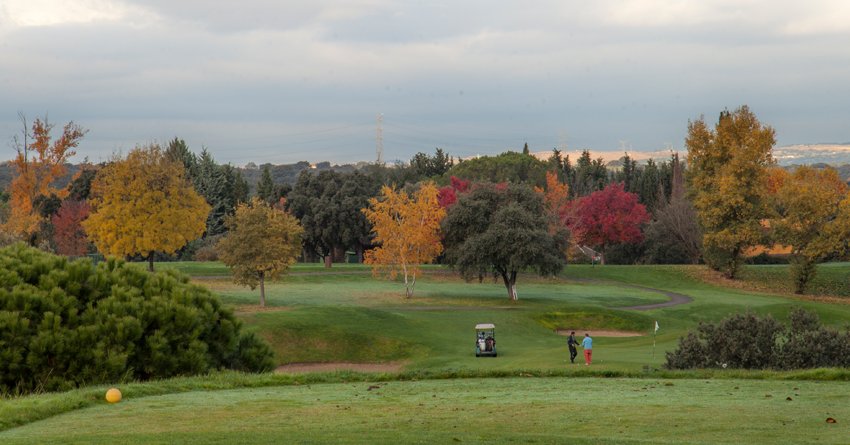 Patricia Rubio y Graeme Lewis se convierten en campeones de la RACE Cup ...